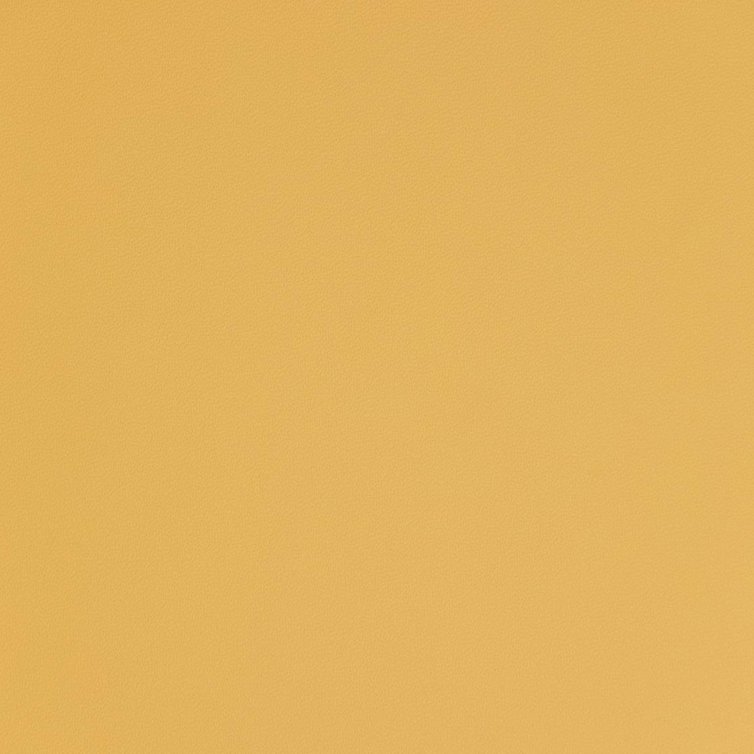 Ferrari OEM Leather – autointeriorspecialists